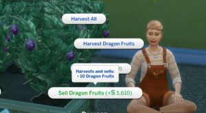 Sims 4 Dragon Fruit
